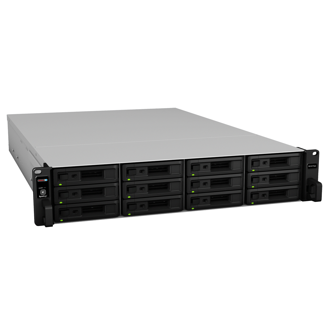 Synology RX1217sas 12-Bay SAS/SATA Expansion, Redundant Power